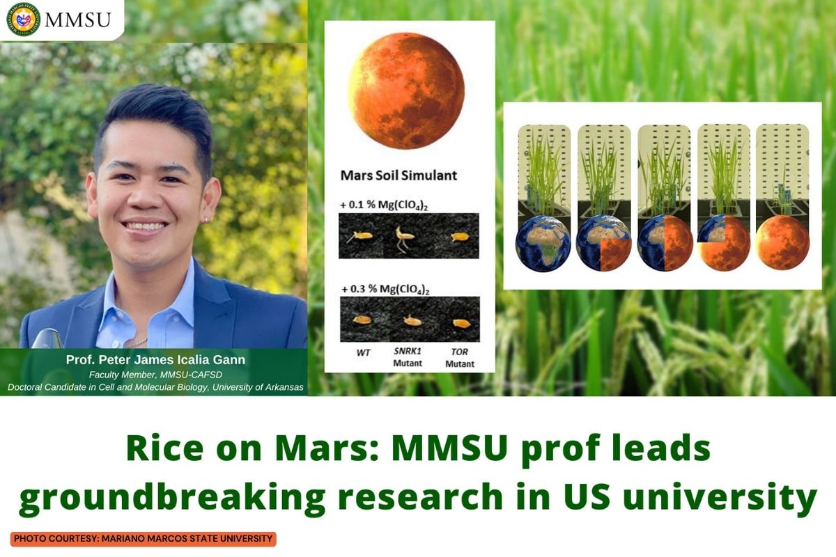 MMSU PROF LEADS STUDY ON GROWING RICE ON MARS - The POST